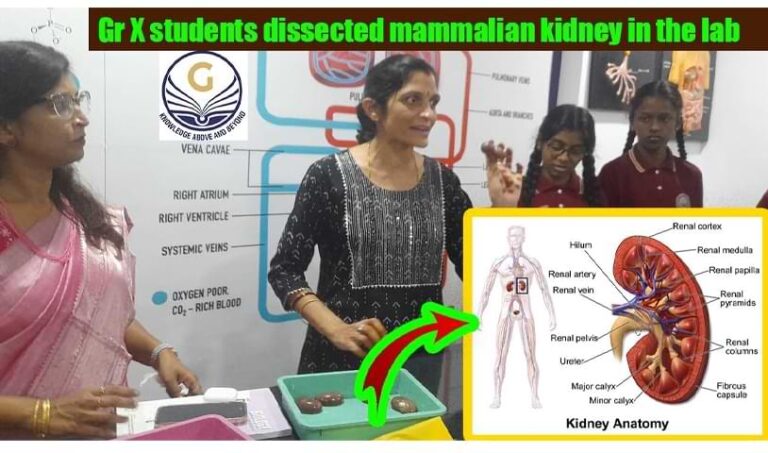 Lab Dissection - High School - Neo Geetanjali Schools